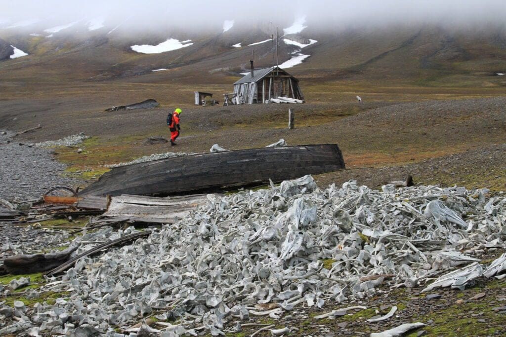 Ahlstrandhalvøya | AECO
